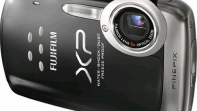 Feral Wetsuit Review - The Surfing Handbook